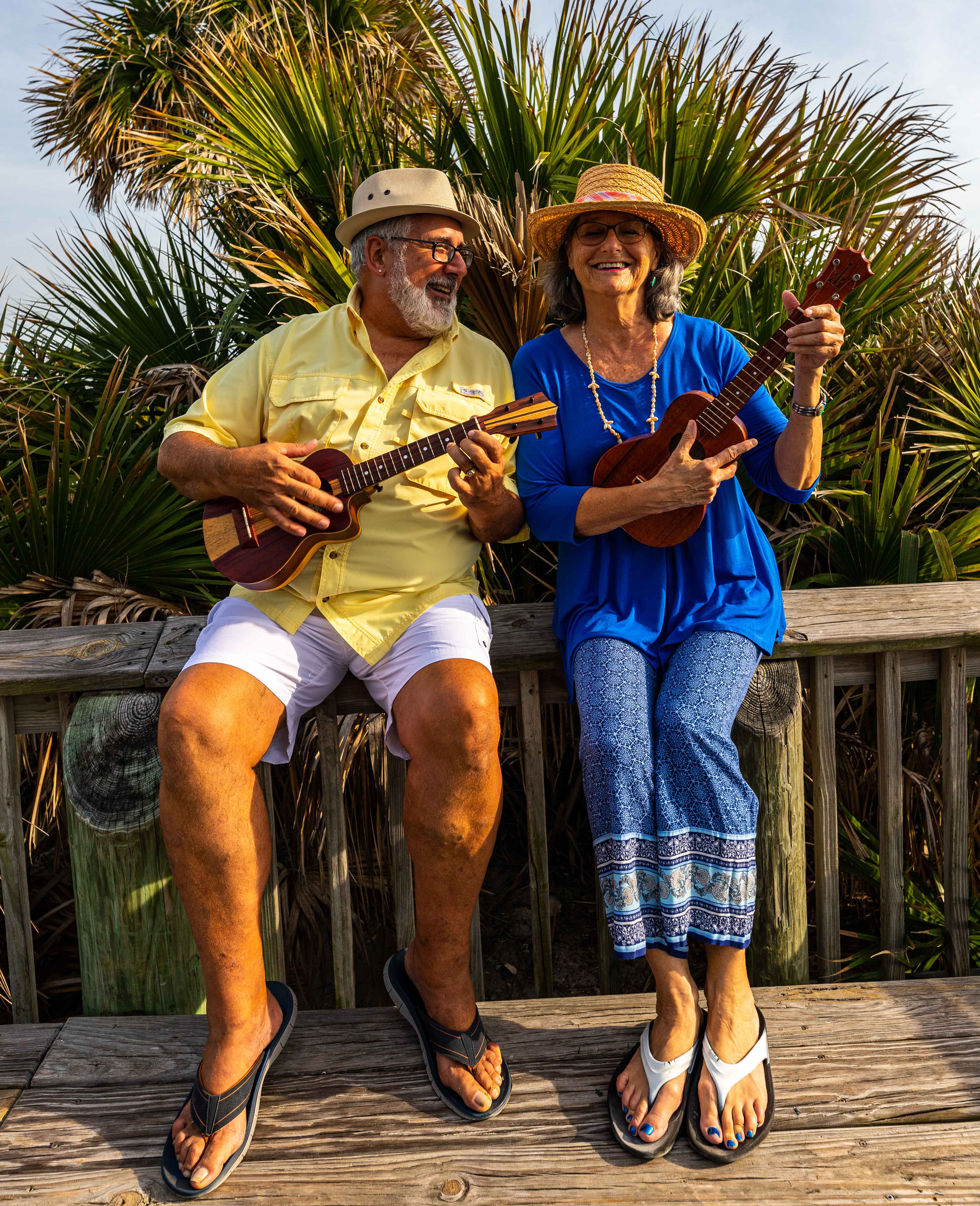 Off Shore Breeze Concert | Sarasota County Libraries